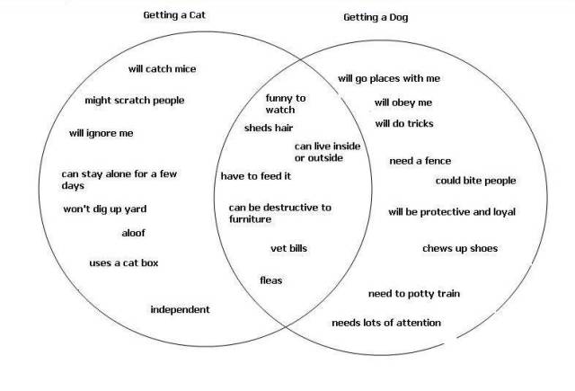 Venn Diagram For Snowy Day