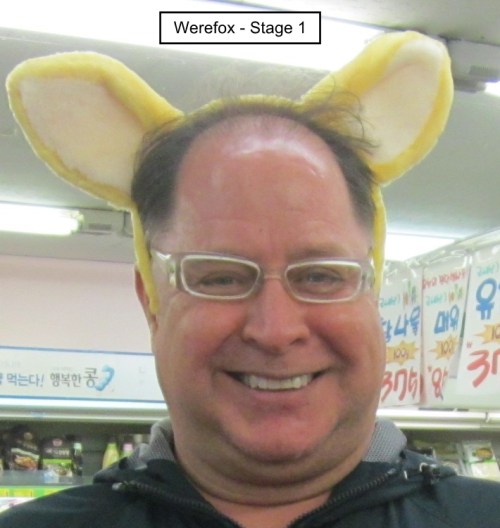 Orange Werefox Stages | Dr. Hugh Fox III