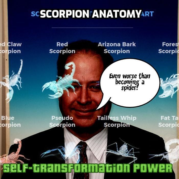 Scorpion Anatomy | Dr. Hugh Fox III